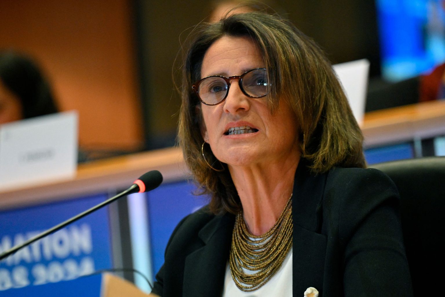 "Italia? Dipende troppo dal gas", cosa ha detto Ribera