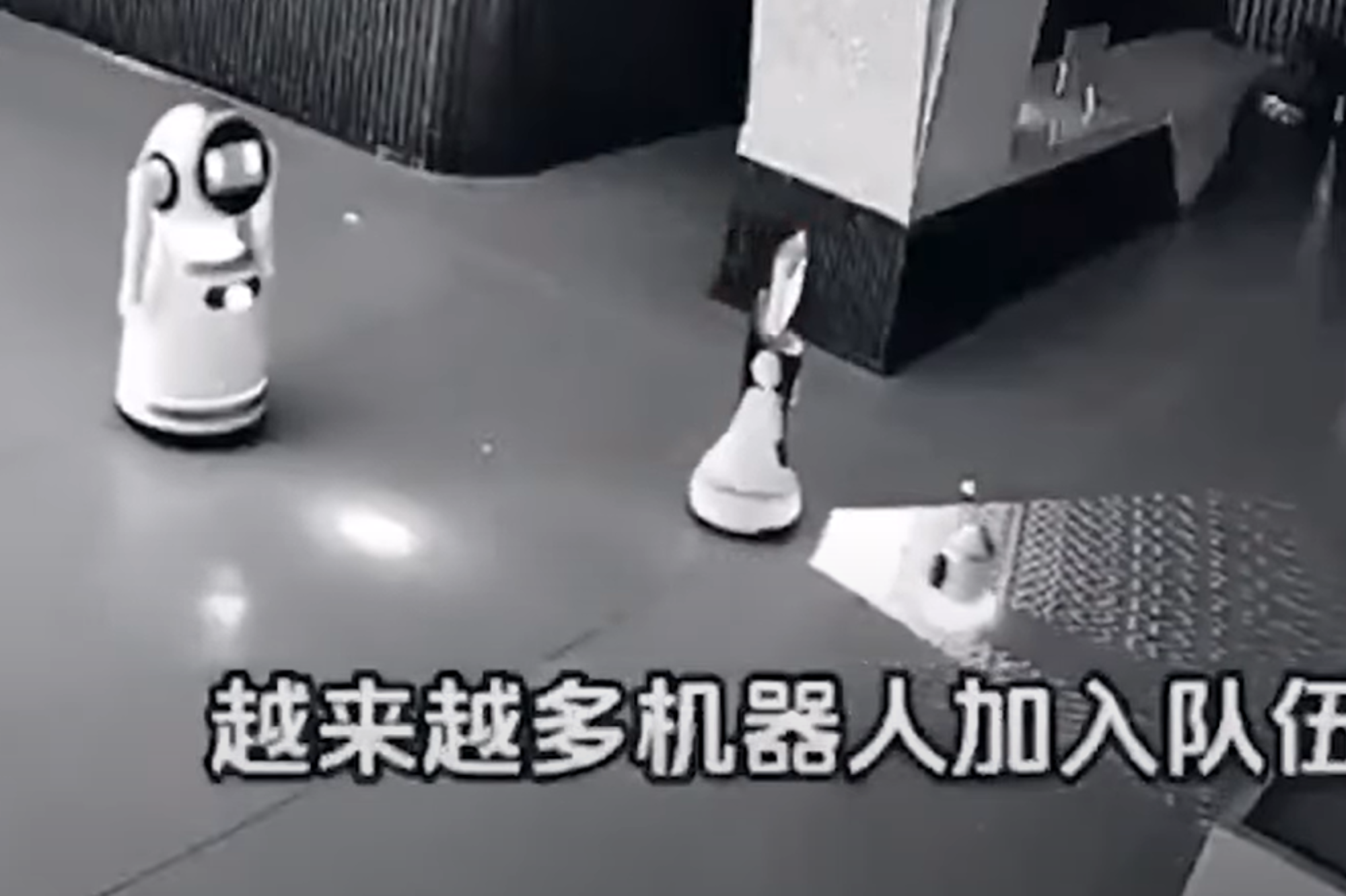 Cina, robot rapisce altri 12 robot e li porta a “casa”. Bufala o realtà ...