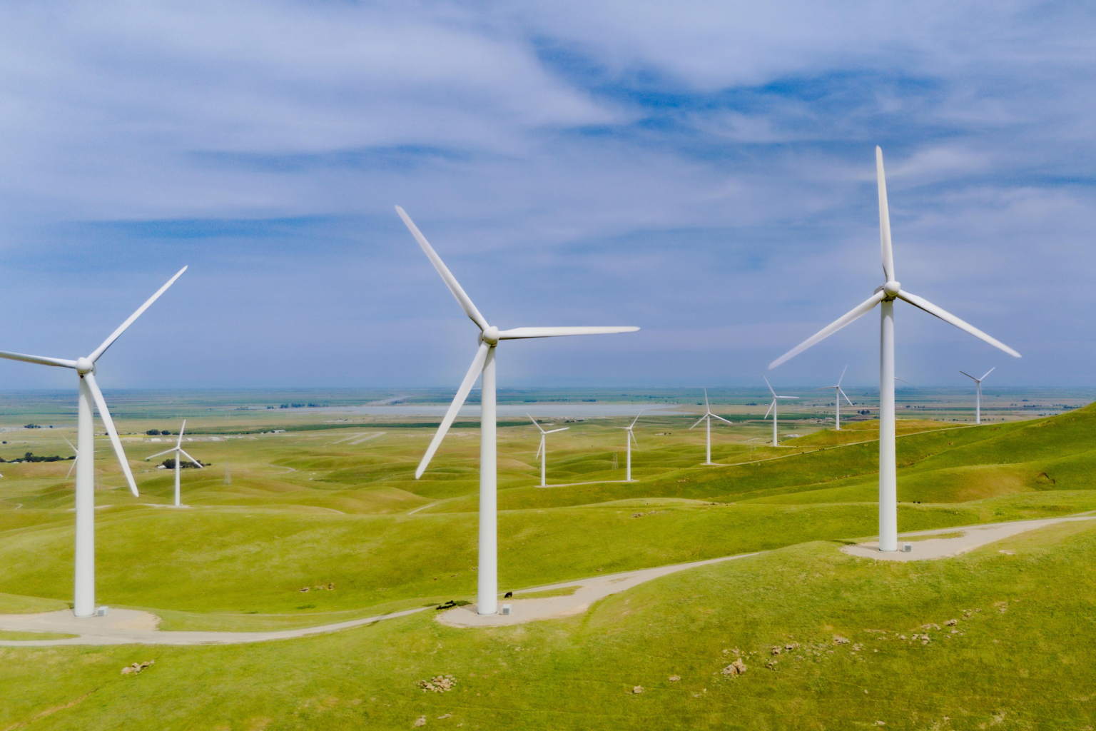 Stiamo andando verso la siccità eolica? Cos’è il 'wind stilling' e ...